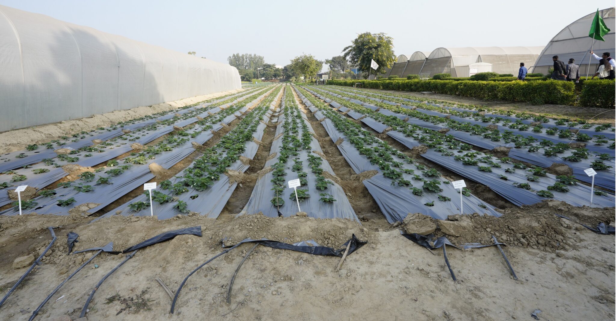 Visit to Indo-Israel Centre of Excellence at Haryana’s Gharaunda ...