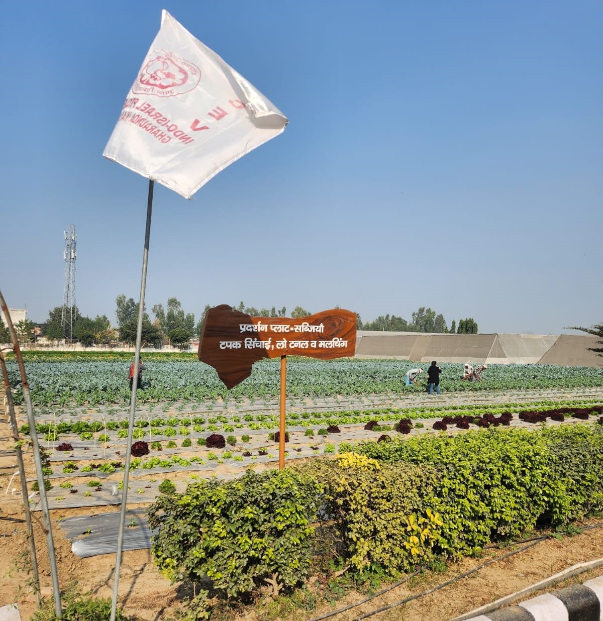 Visit to Indo-Israel Centre of Excellence at Haryana’s Gharaunda ...