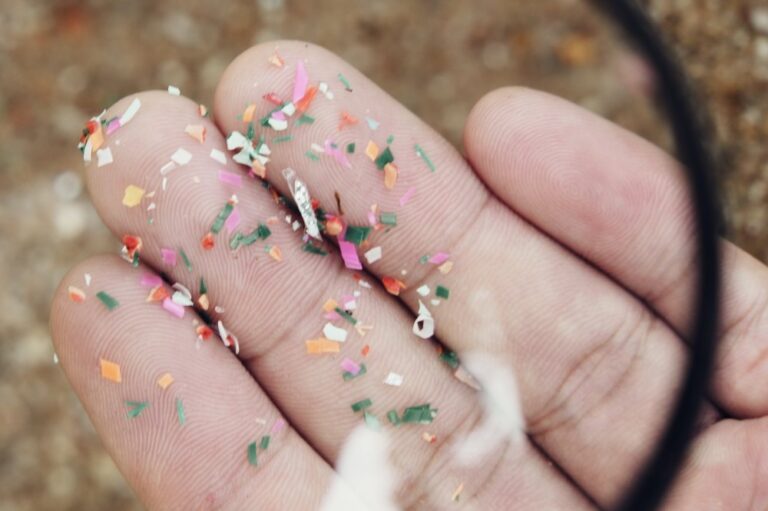 Microplastics Can Help Dangerous Bacteria Survive On Scottish Beaches